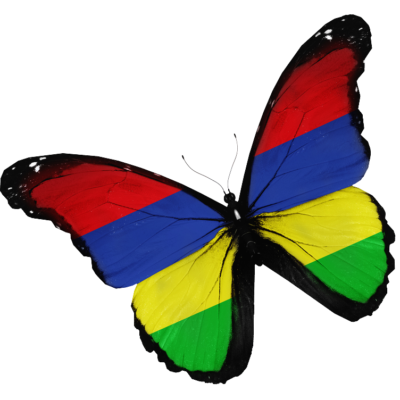 Contact Us – Pace Seychelles