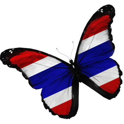 Contact Us – Pace Seychelles